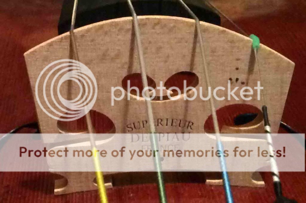 Strings cutting into the bridge