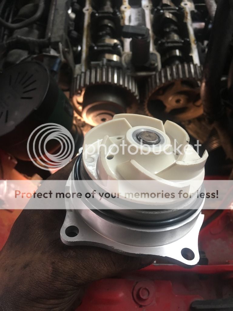 How To Replace A Timing Belt On A 2003 Ford Focus SVT ZX5 | Focus ...