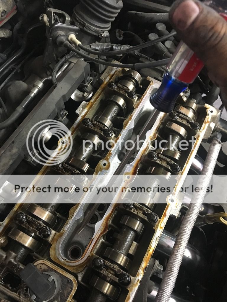 How To Replace A Timing Belt On A 2003 Ford Focus SVT ZX5 | Focus ...