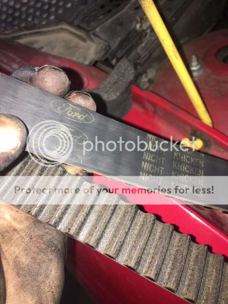 How To Replace A Timing Belt On A 2003 Ford Focus SVT ZX5 | Focus ...