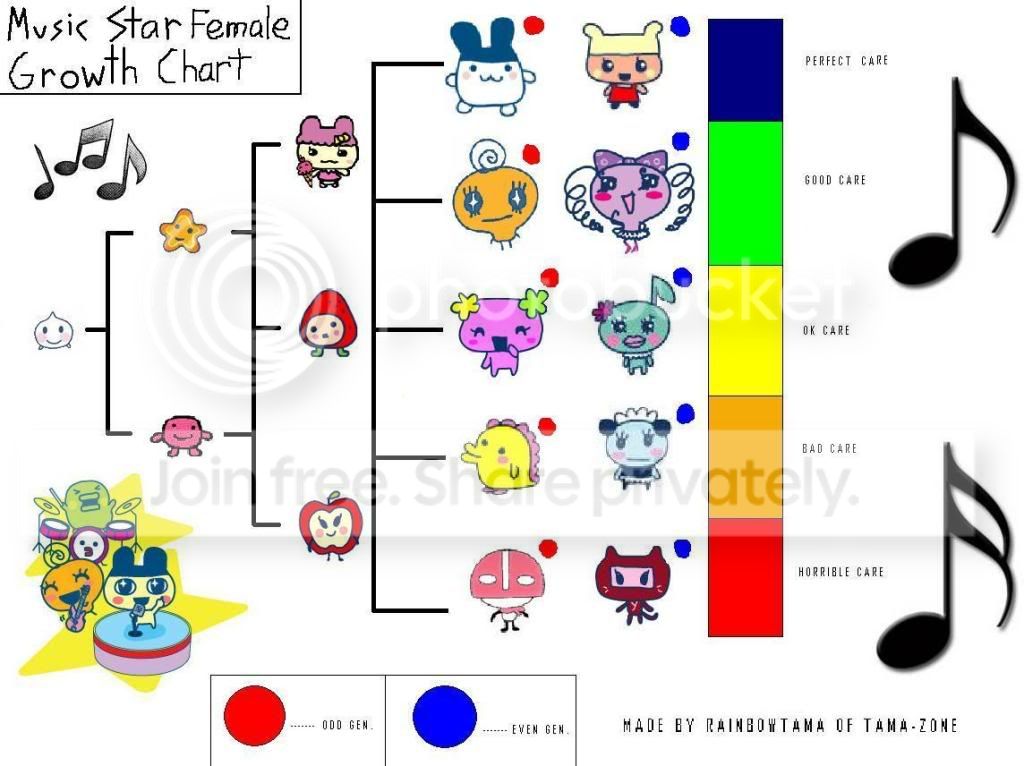 Music Star Growth Chart (Females) - Tama Zone